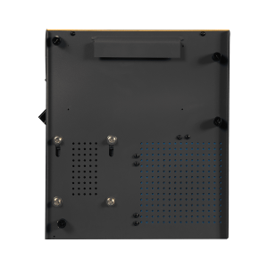 Buy SUN LION 1000 | Solar Inverter with Lithium Battery